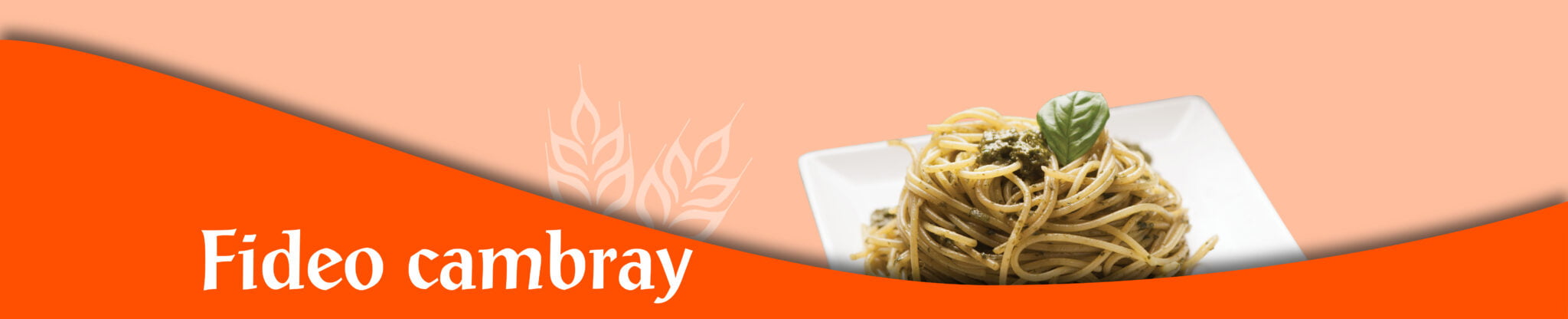 Fideo Cambray - GAPSA