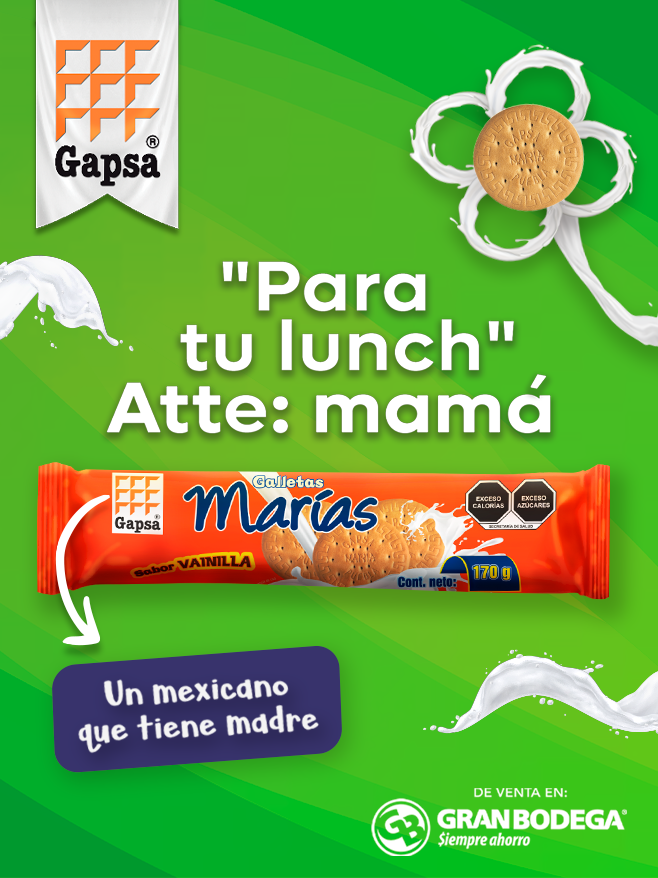 Inicio GAPSA - GAPSA