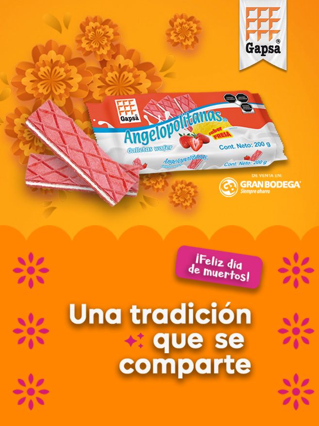 Inicio GAPSA - GAPSA